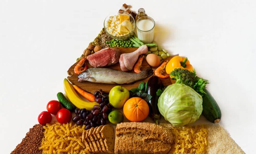 ¿Cuál es la clasificación de los alimentos - Instituto DYN